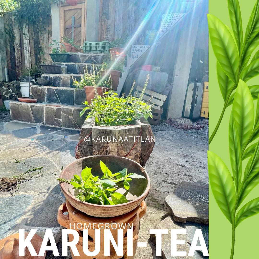 Karuni-Tea – Talking with Tammy